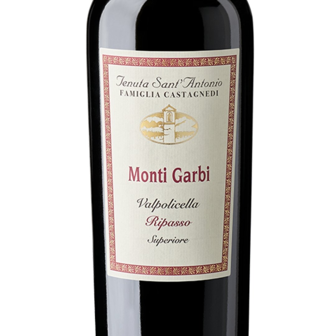 Vinho Tinto Monti Garbi Valpolicella Ripasso 750ml